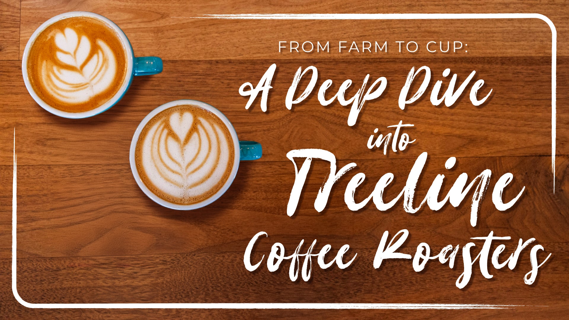 From Farm to Cup: A Deep Dive into Treeline Coffee Roasters in Bozeman ...