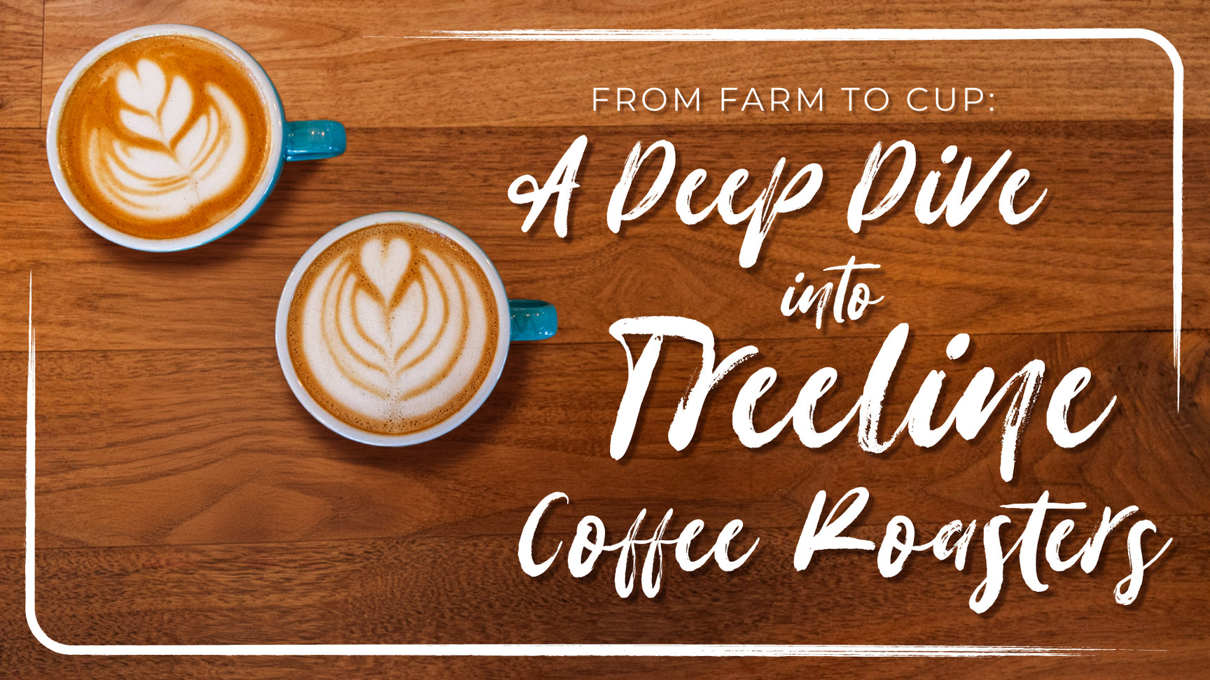 From Farm to Cup: A Deep Dive into Treeline Coffee Roasters in Bozeman ...