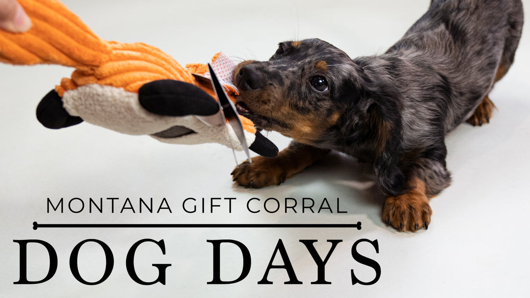 Celebrate the Dogs of Bozeman with us! – Montana Gift Corral