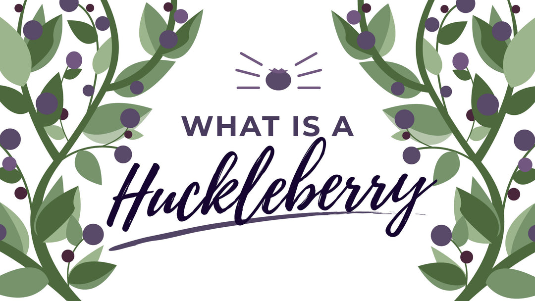 What is a Huckleberry? – Montana Gift Corral
