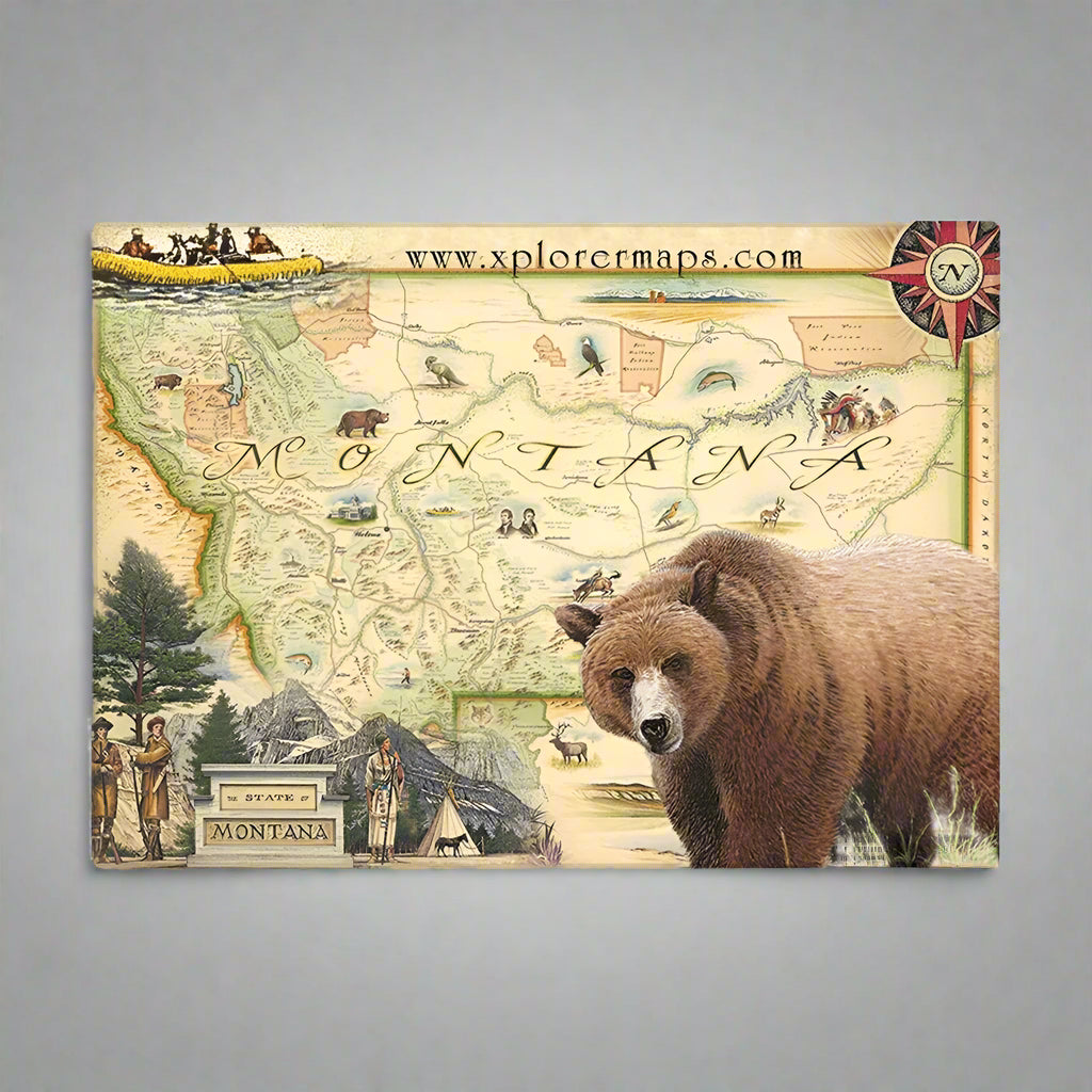 Montana Bison Magnet by Xplorer Maps – Montana Gift Corral